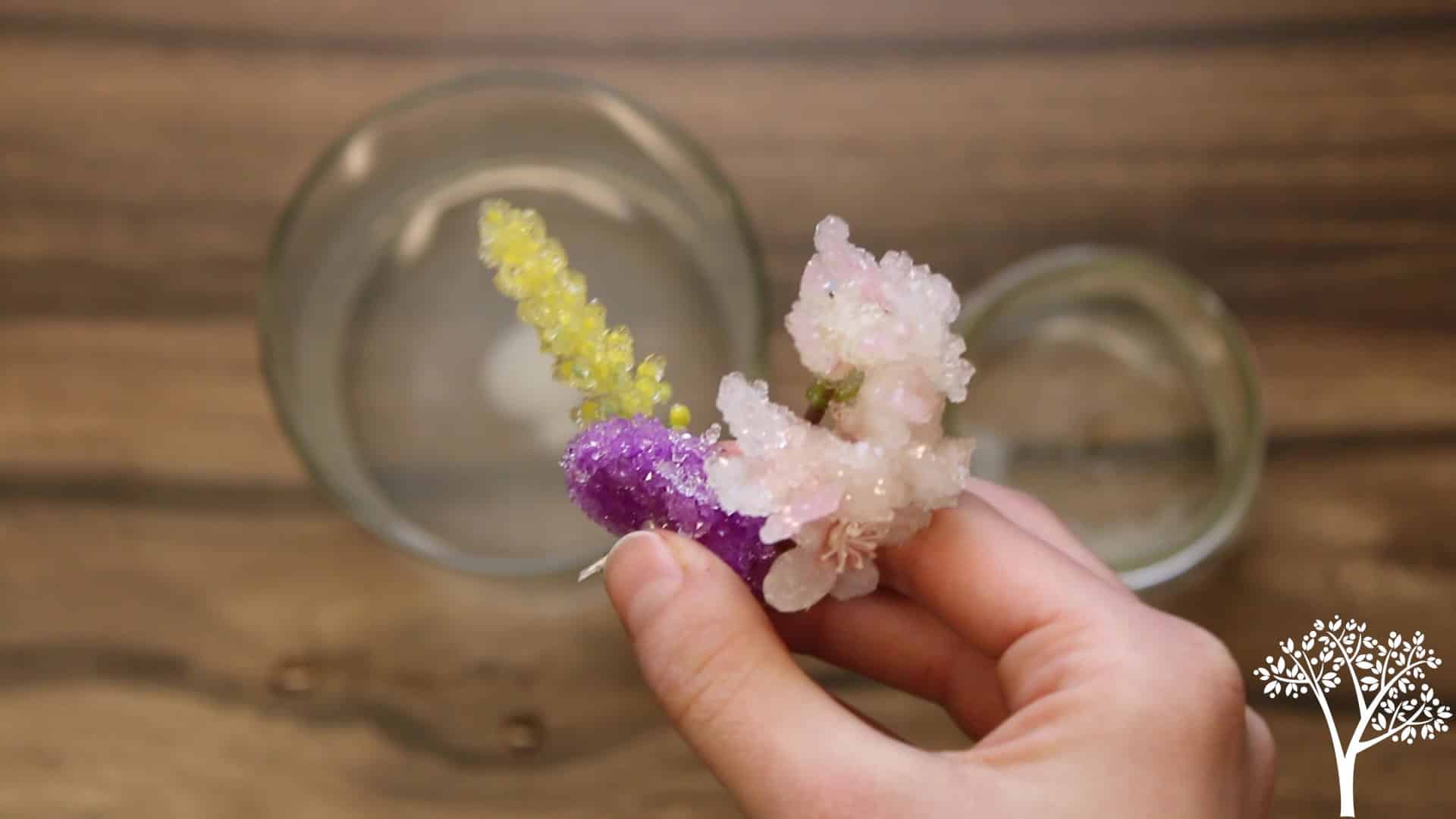 Crear Cristales- Make your own Crystals! | Tierra Encantada