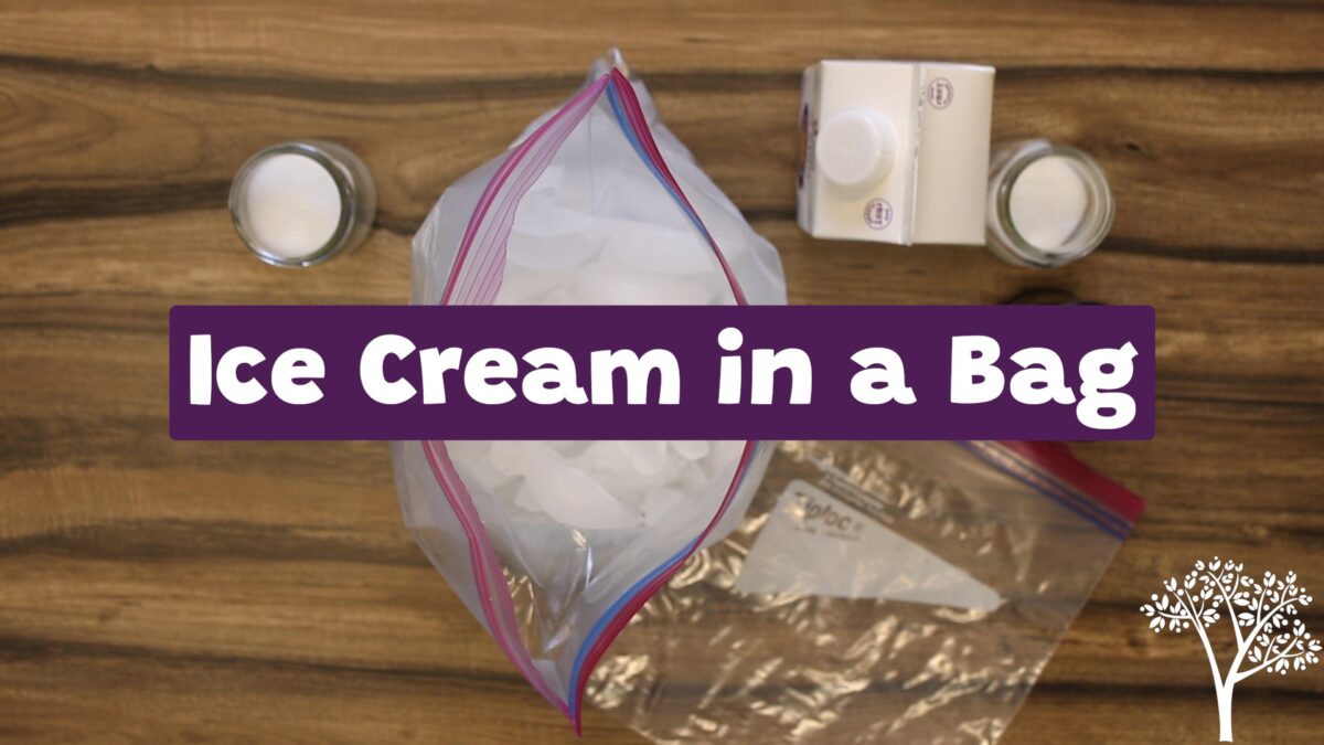 Helado en una Bolsa (Ice Cream in a Bag) | Tierra Encantada